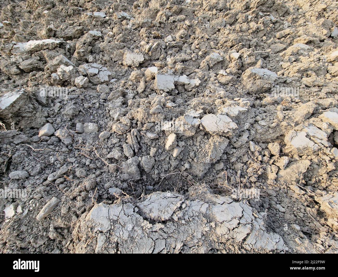 dry soil in the farming field detail Stock Photo - Alamy
