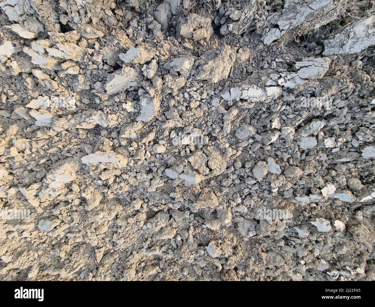 dry soil in the farming field detail Stock Photo - Alamy