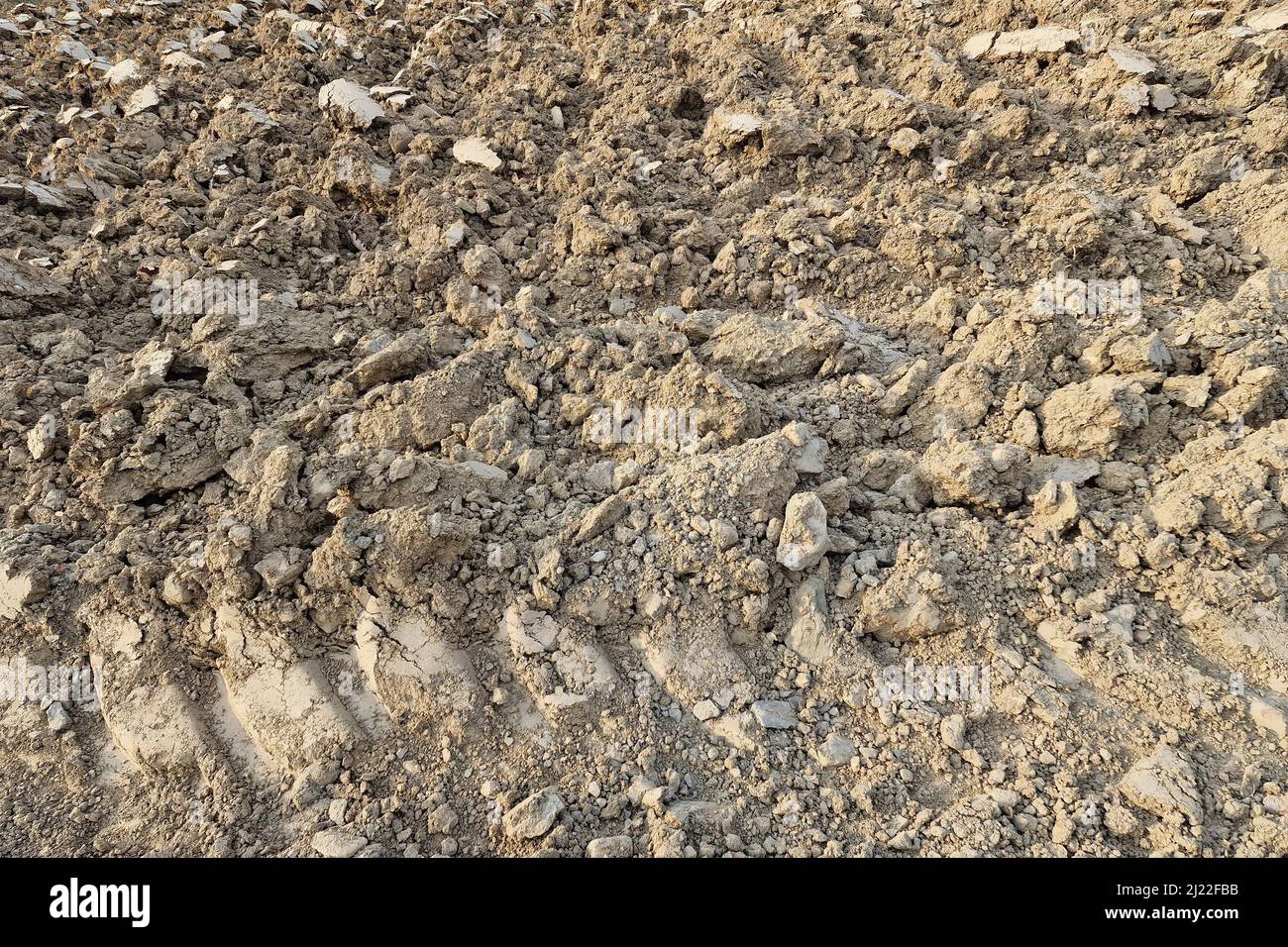 dry soil in the farming field detail Stock Photo - Alamy