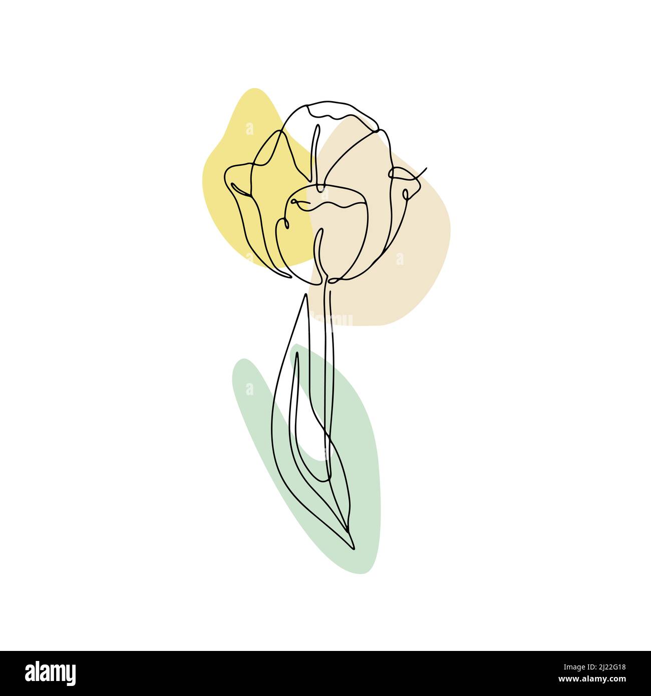 One line drawing tulip. Hand drawn single line flower with neutral ...