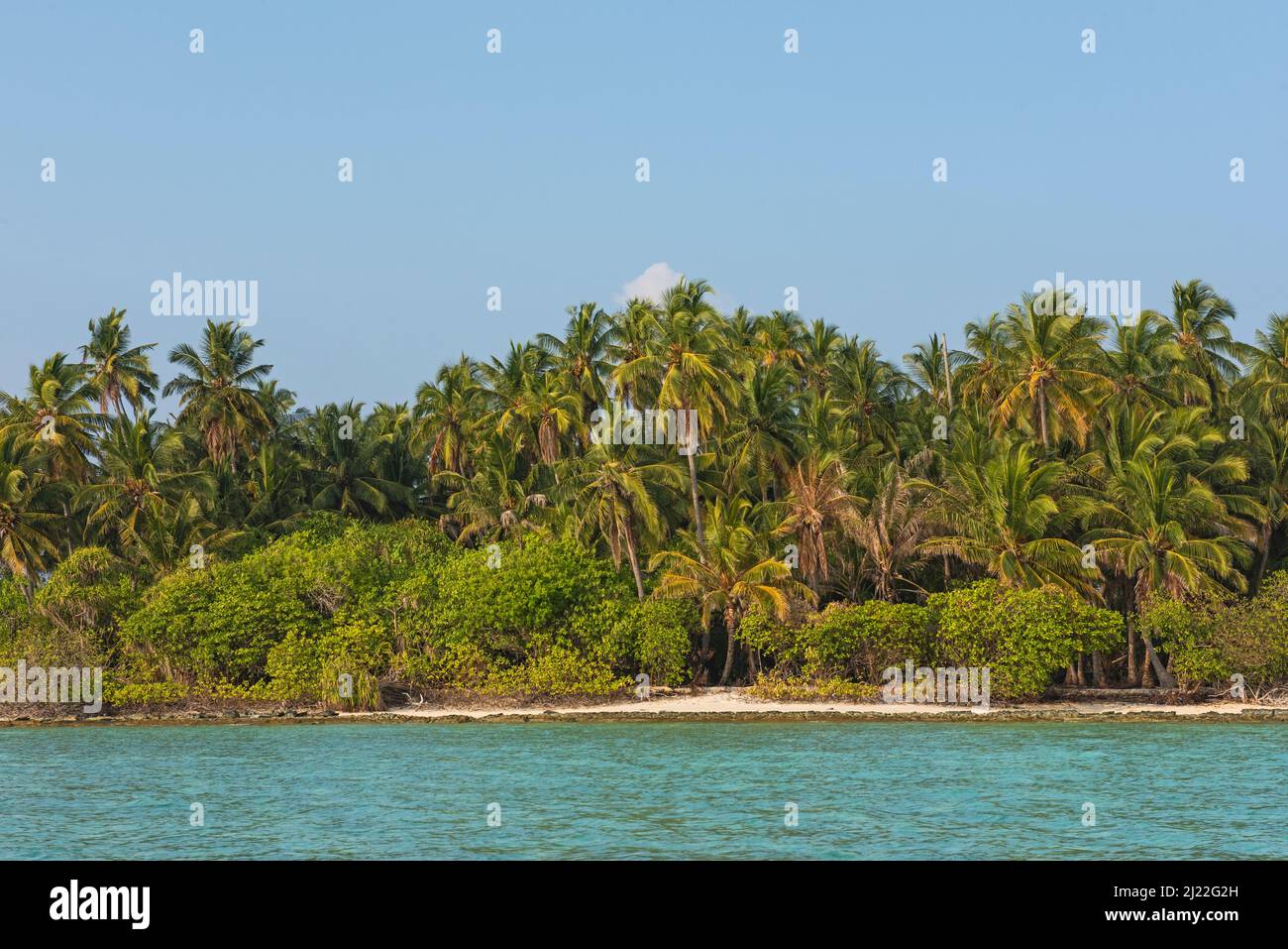 Remote tropical island paradise with shallow lagoon in ocean and thick ...