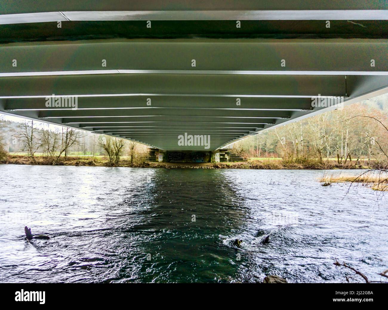 A view from beneath a bridge at Flaming Geyser State Park in Washington ...