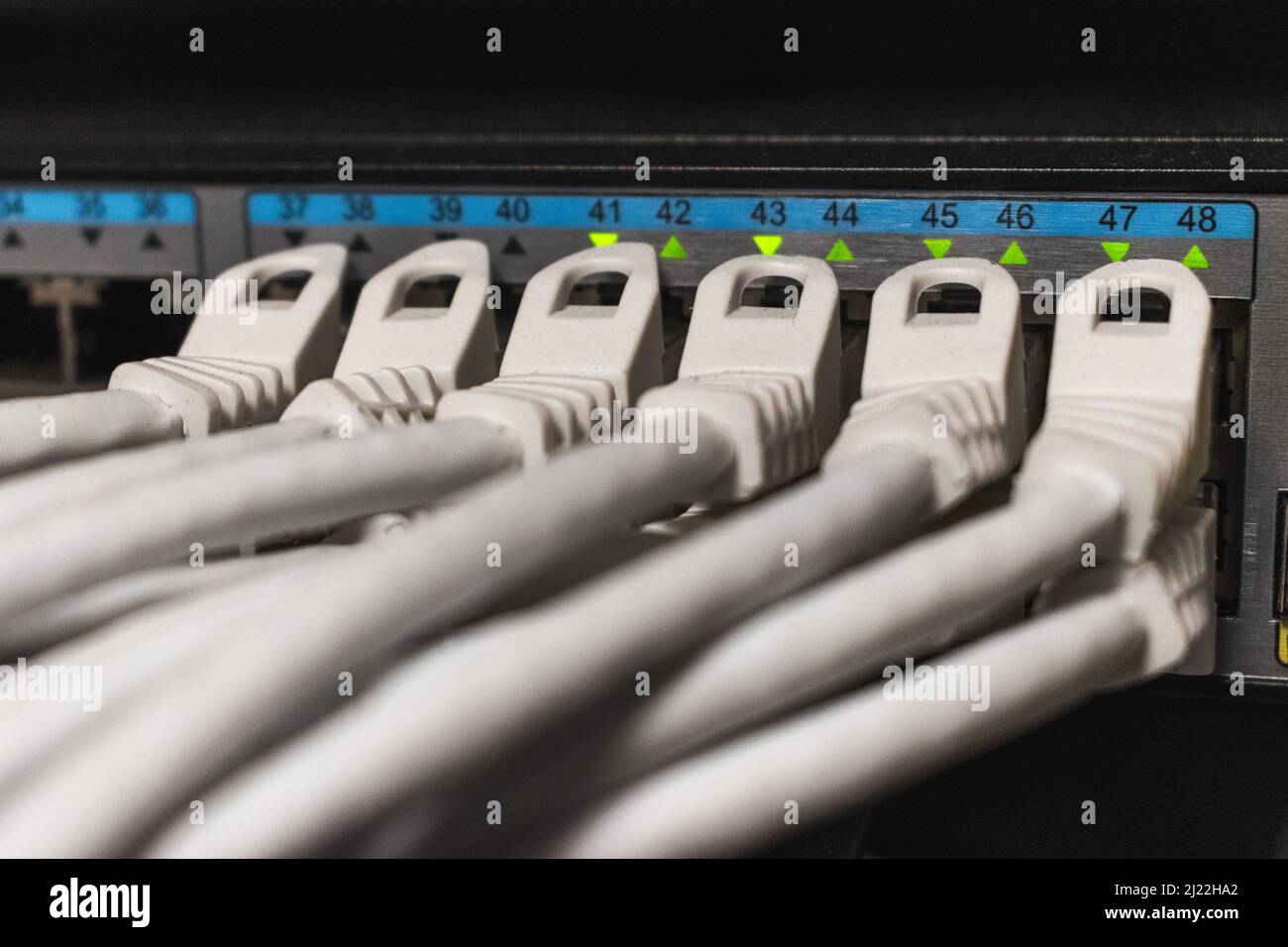 Detail of a network cables connected to a hub inside a ...