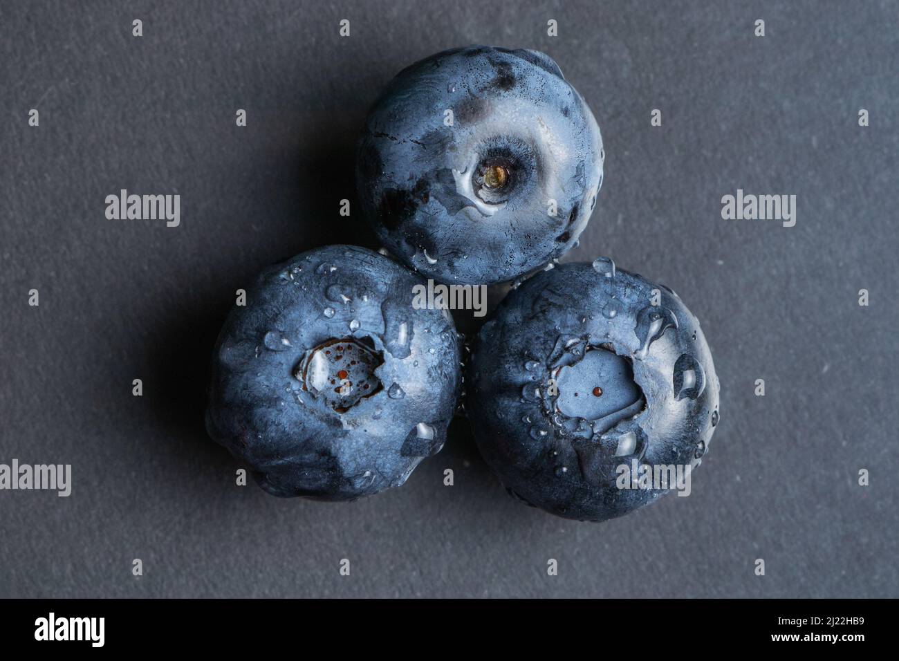 Blueberry with water drops on dark background Stock Photo - Alamy