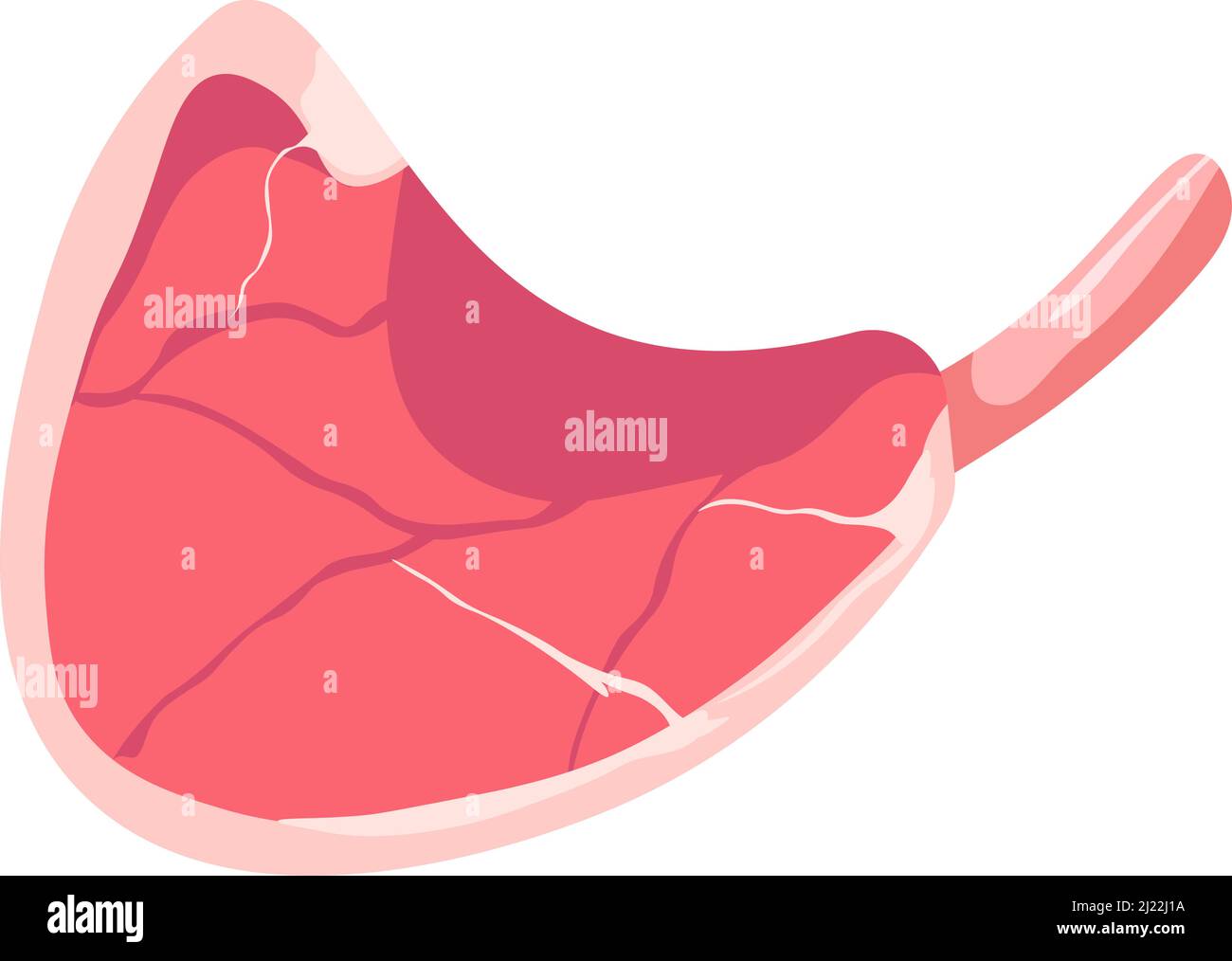 Pork slice of meat, barbeque and grilling vector Stock Vector Image ...