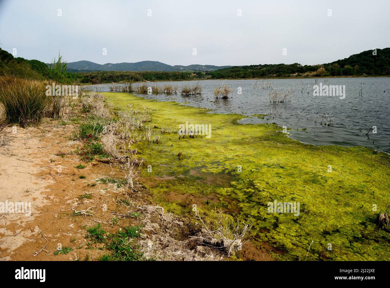 View of Baratz lake Stock Photo - Alamy