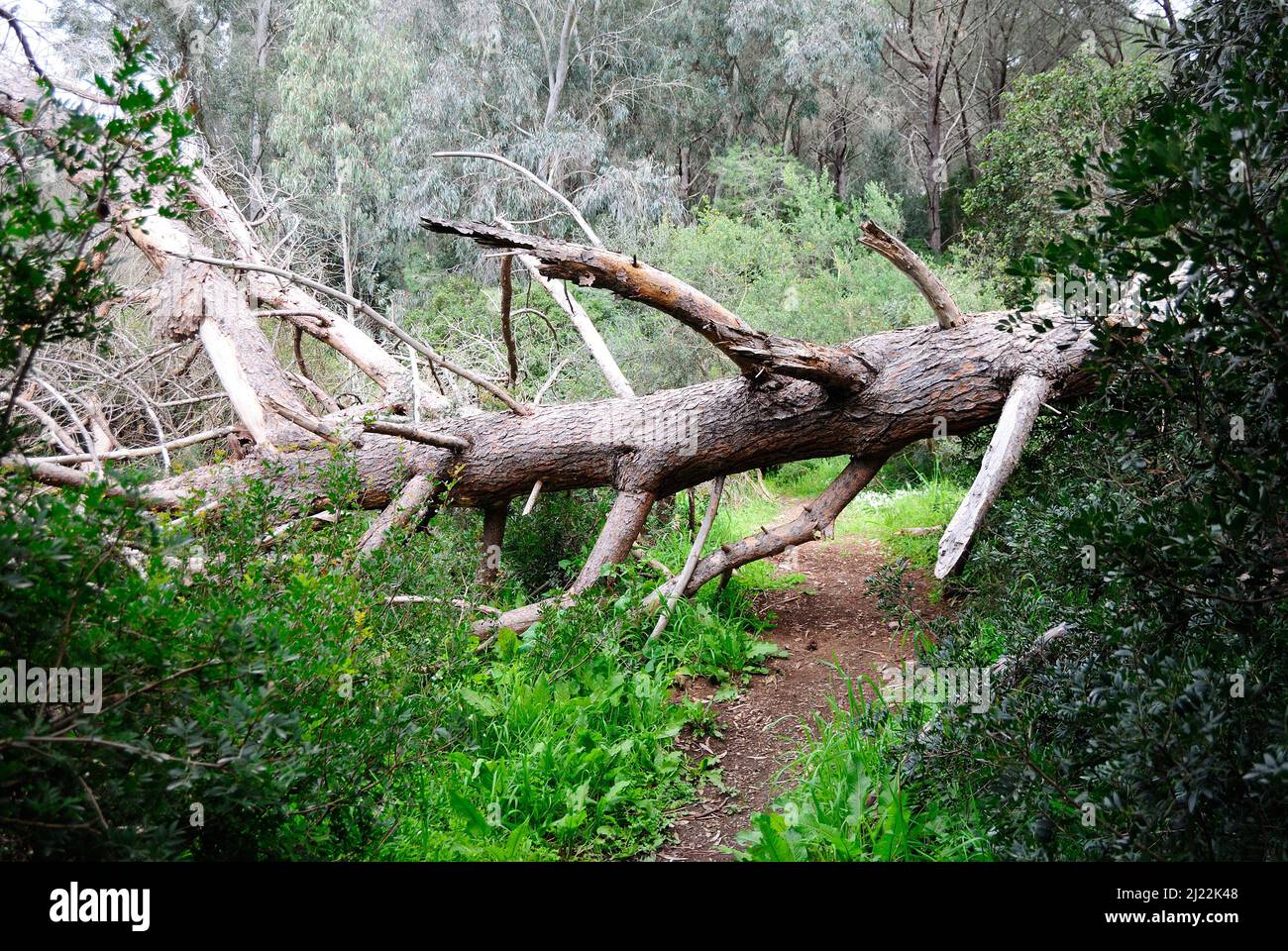 The path around Baratz lake Stock Photo - Alamy