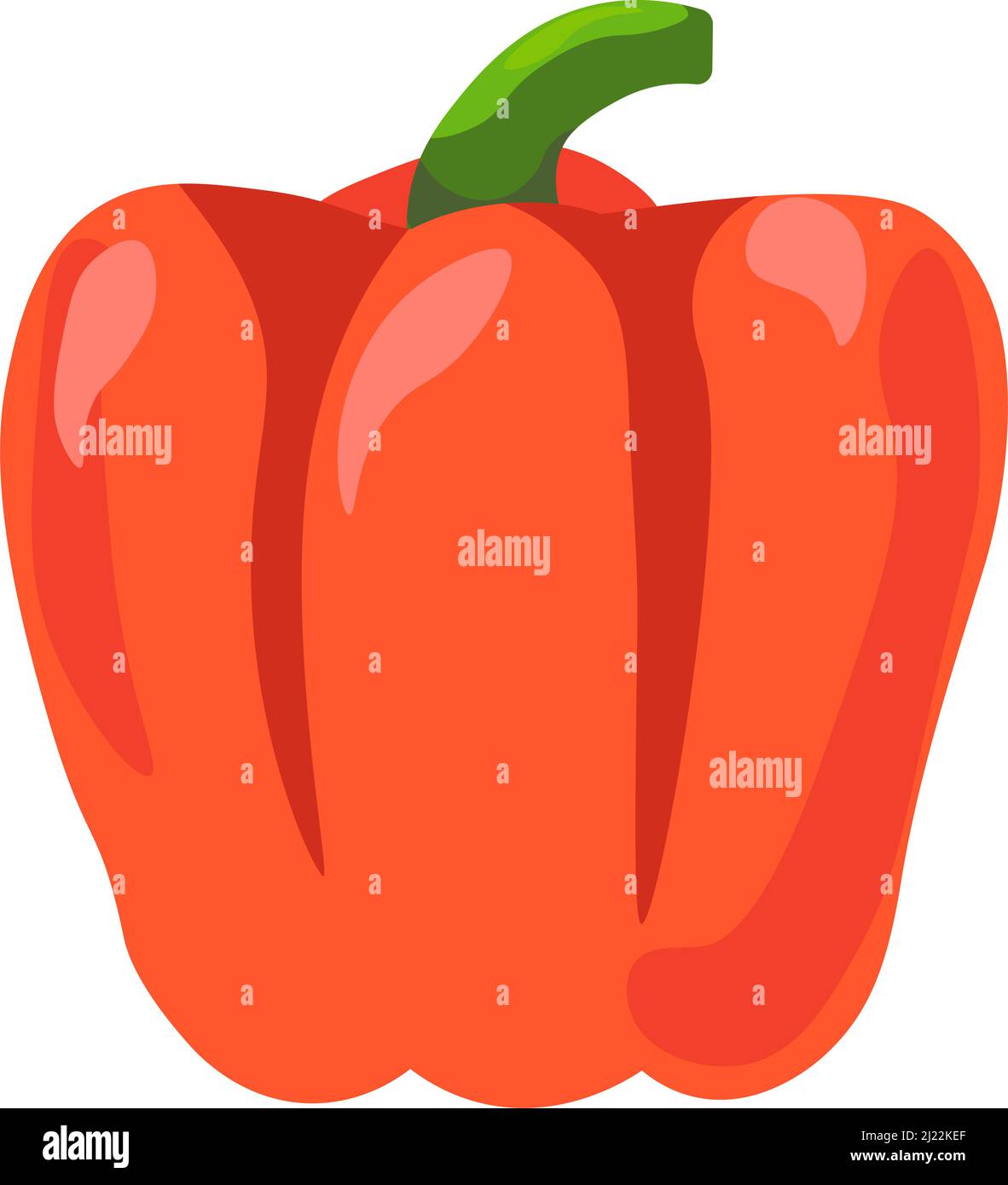 Bell pepper, sweet paprika vegetable fresh veggie Stock Vector Image ...