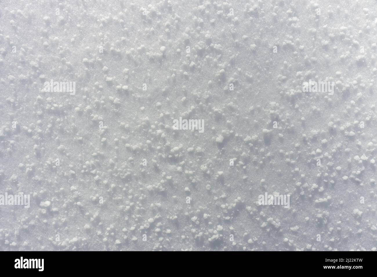 Close up of Graupel Snow pellets, formed when supercooled water ...