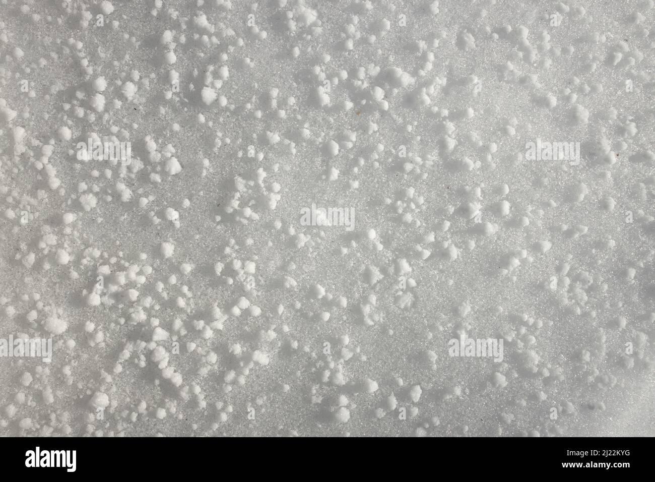 Close up of Graupel Snow pellets, formed when supercooled water ...