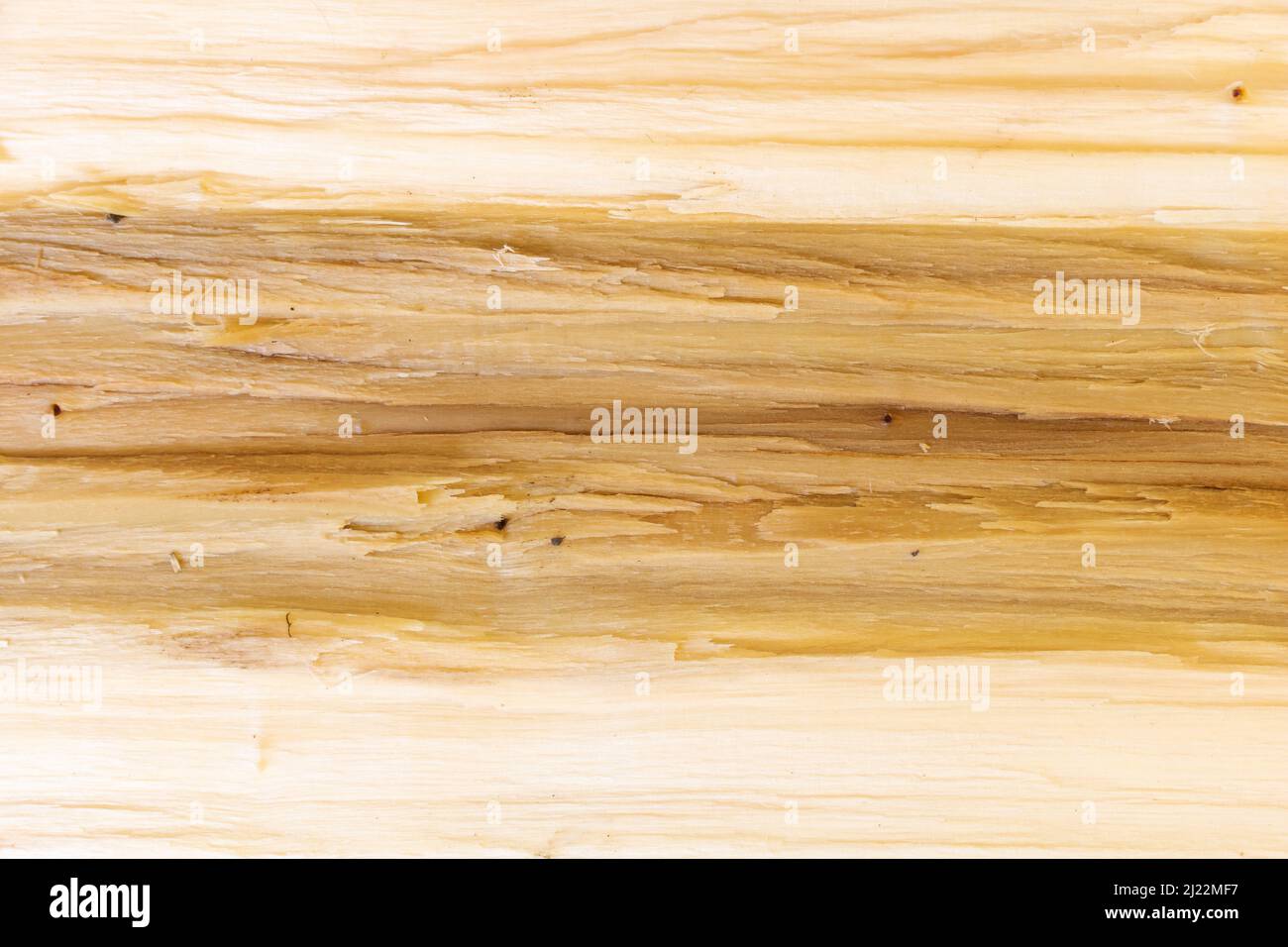 Close up shot of split wood texture background - good for design Stock ...