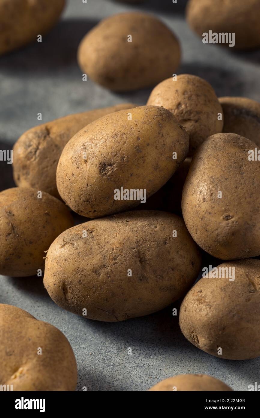 Russet Potatoes