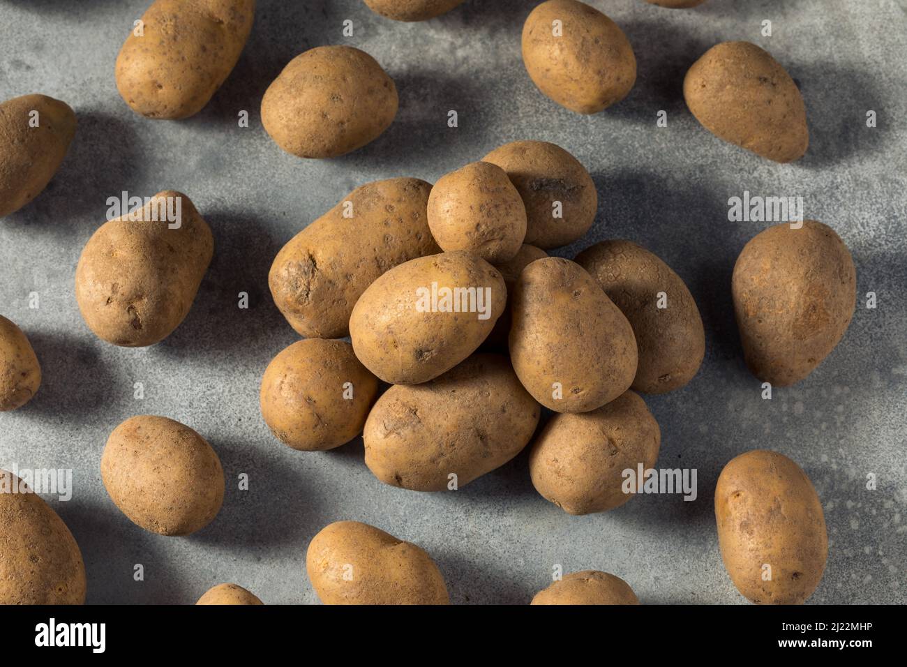 Raw Organic Russet Potatoes in a Bunch Stock Photo - Alamy