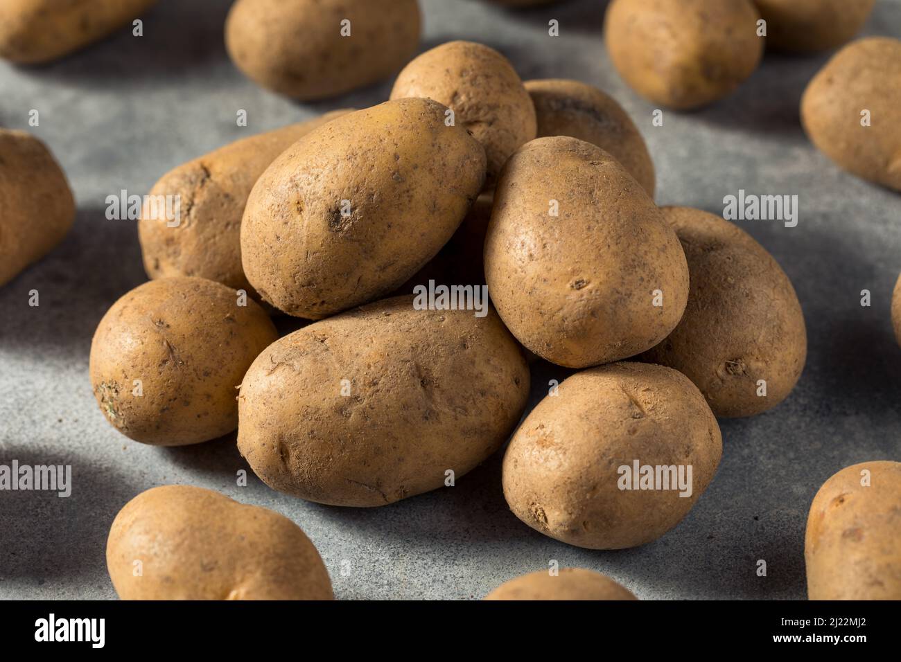 Raw Organic Russet Potatoes in a Bunch Stock Photo - Alamy