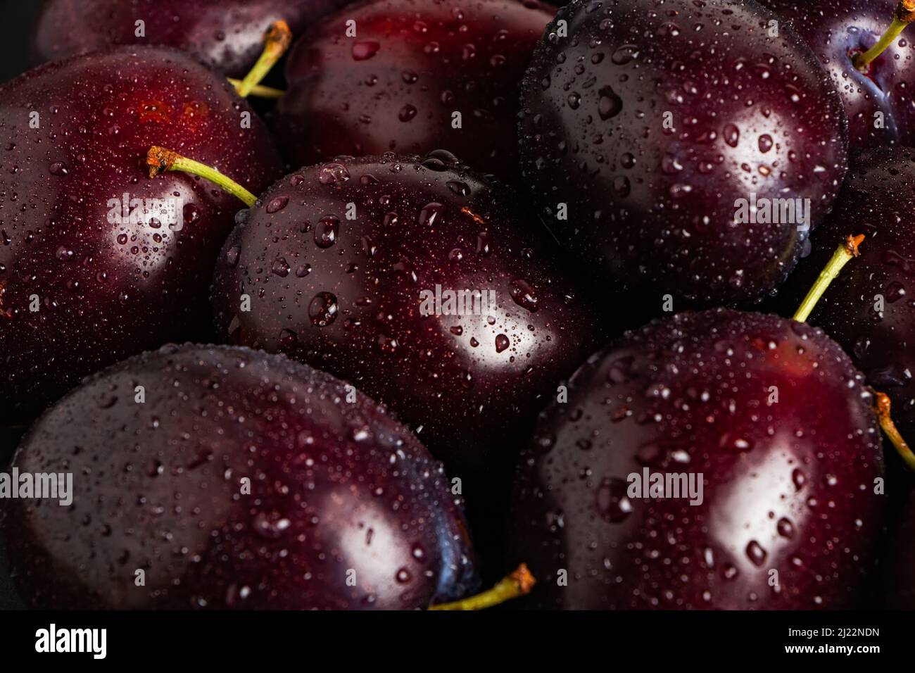 Fresh plums with drops close up. Plums background Stock Photo - Alamy