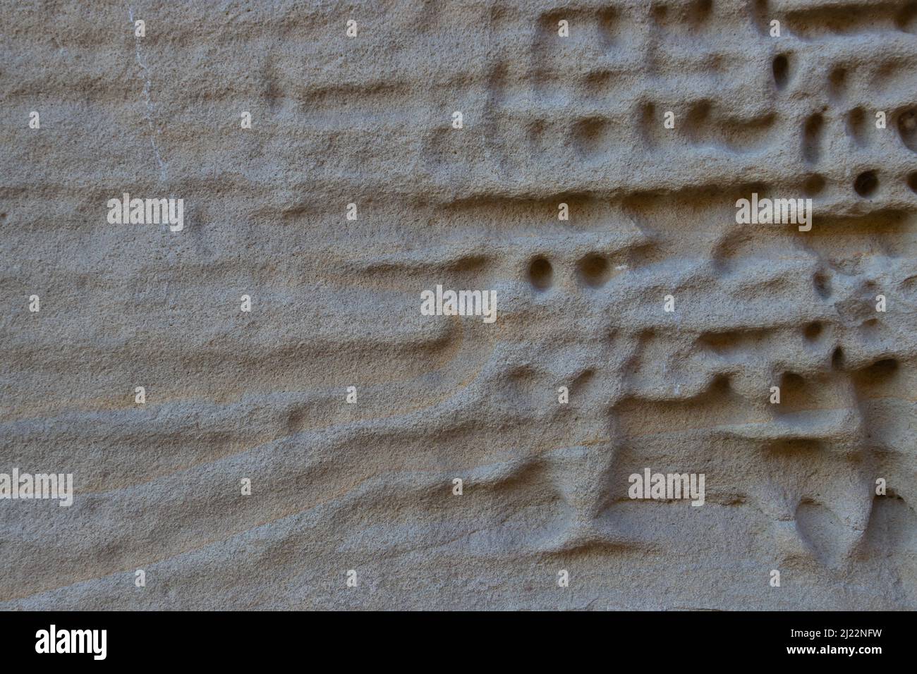 Detail of washed out natural brown sandstone texture, full frame for ...