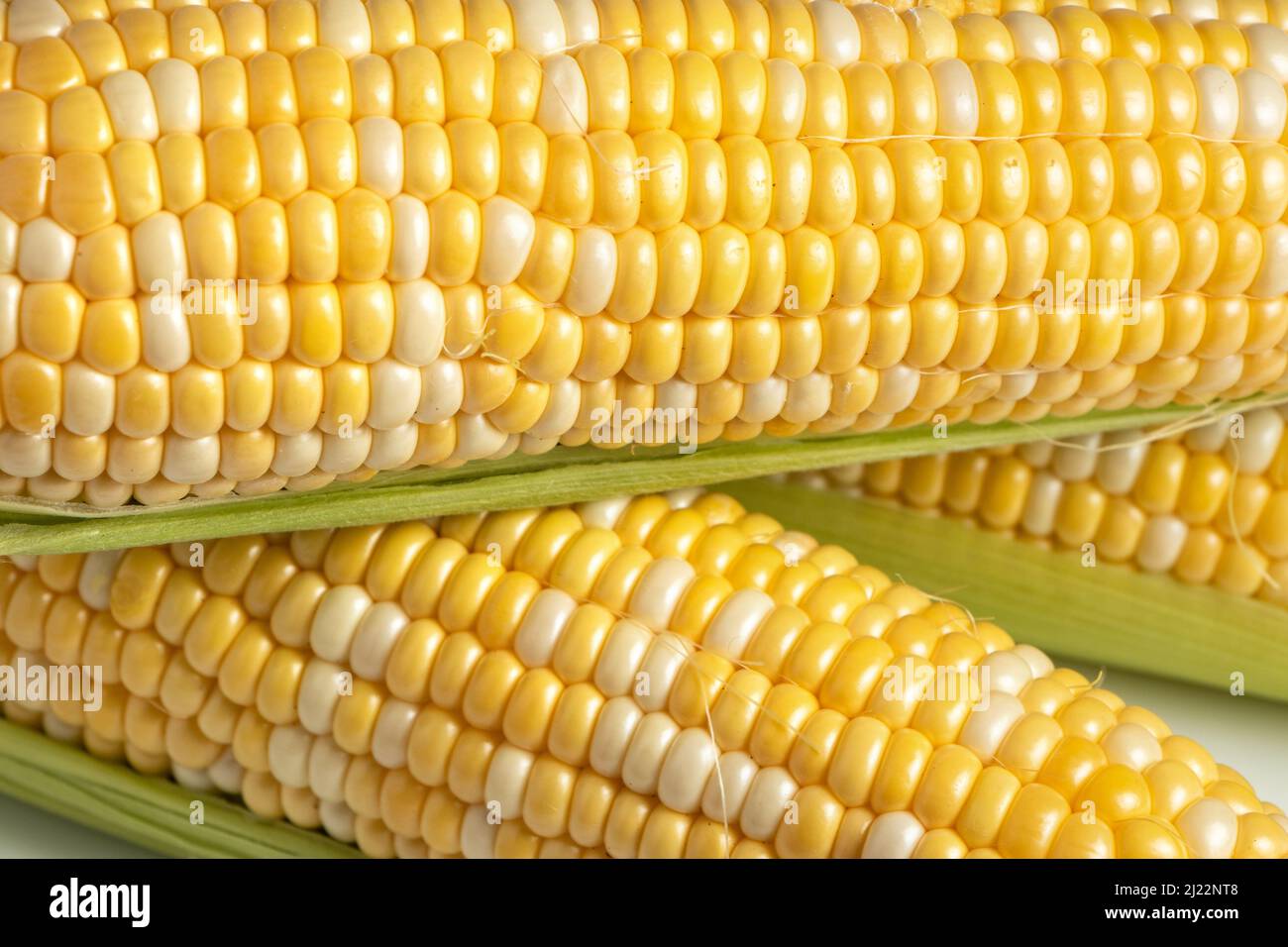 Sweet corn ears background. Close - up photo Stock Photo - Alamy
