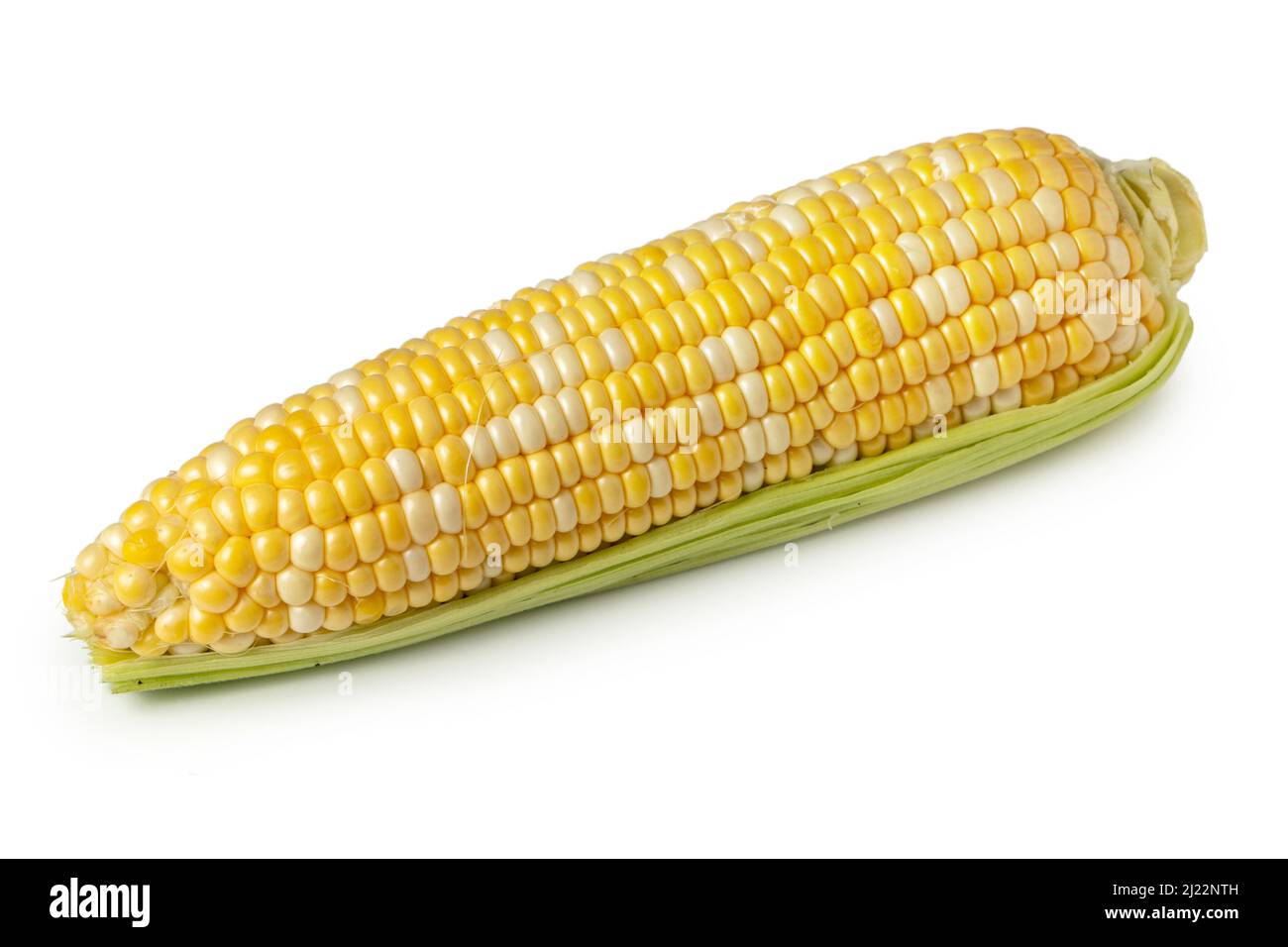 An ear of corn isolated on a white background Stock Photo - Alamy