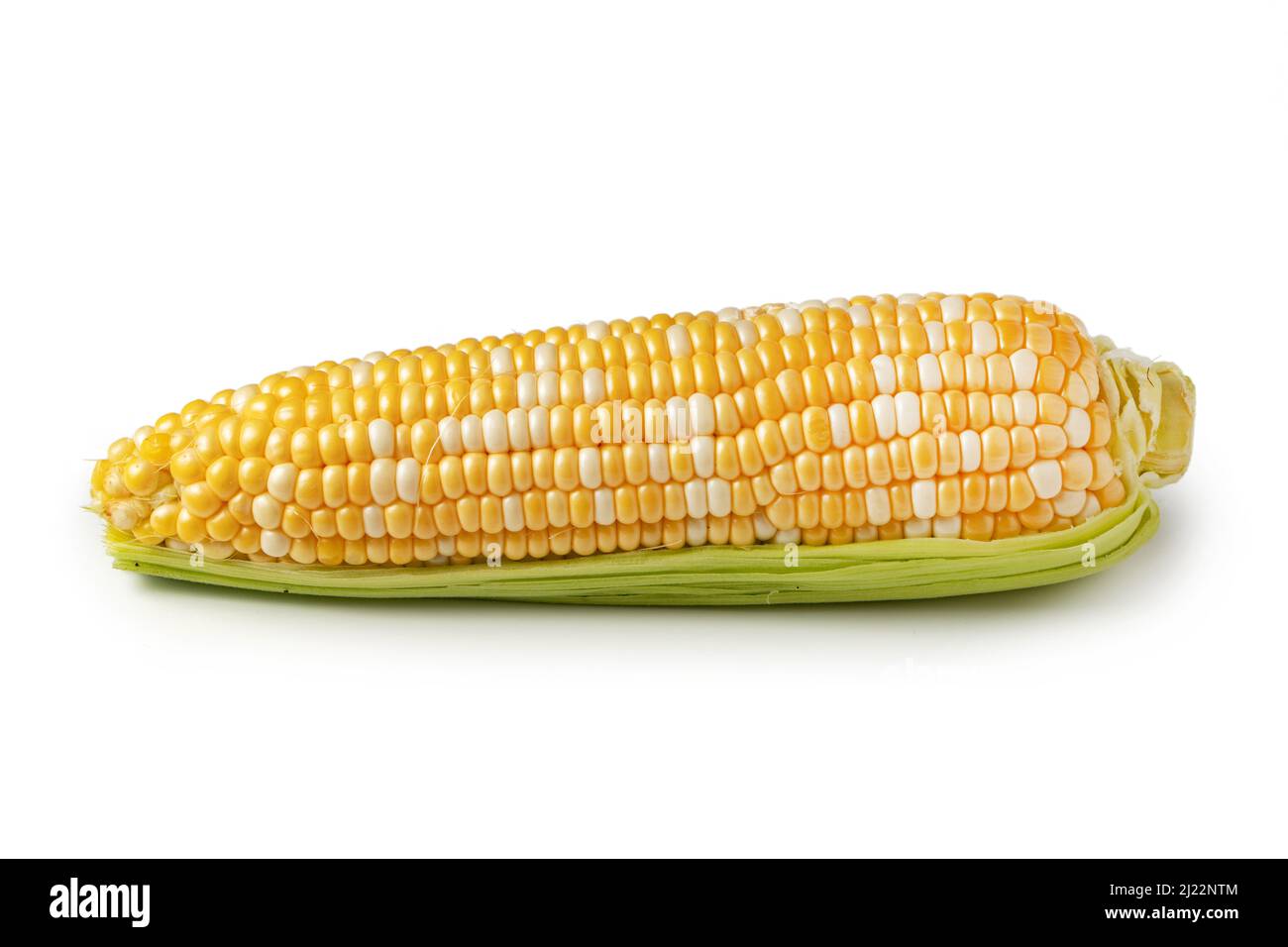 An ear of corn isolated on a white background Stock Photo - Alamy