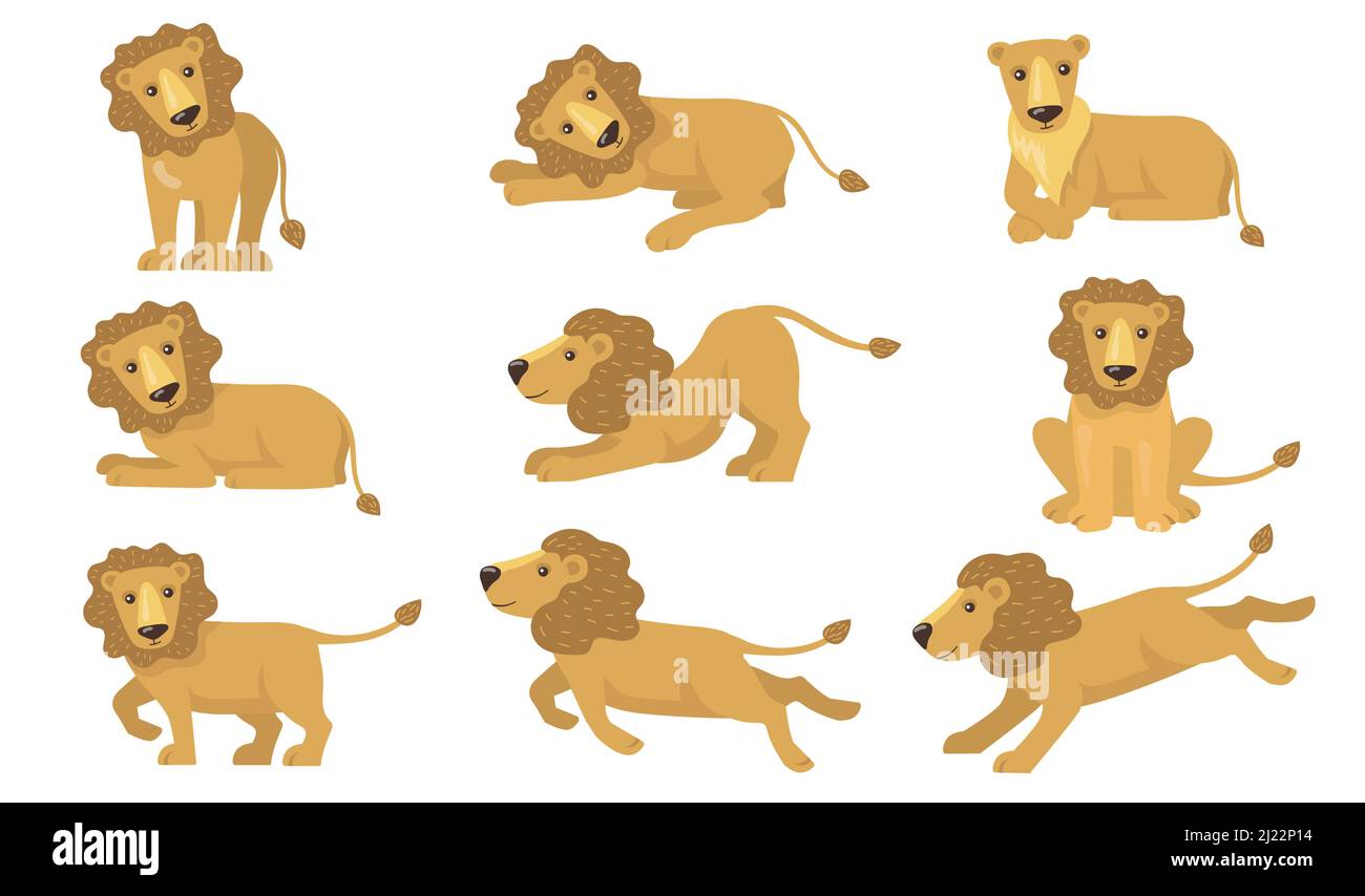 Lion Tail Vector