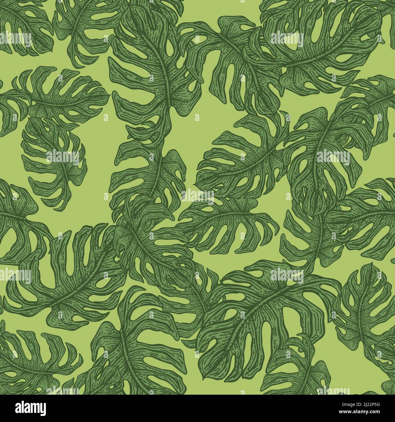 Monstera leaf seamless pattern.Vintage tropical branch in engraving ...