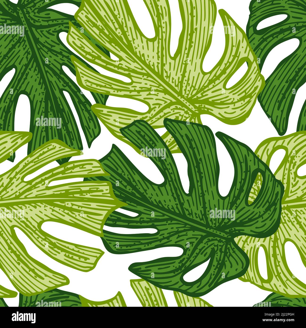 Jungle Leaf Template