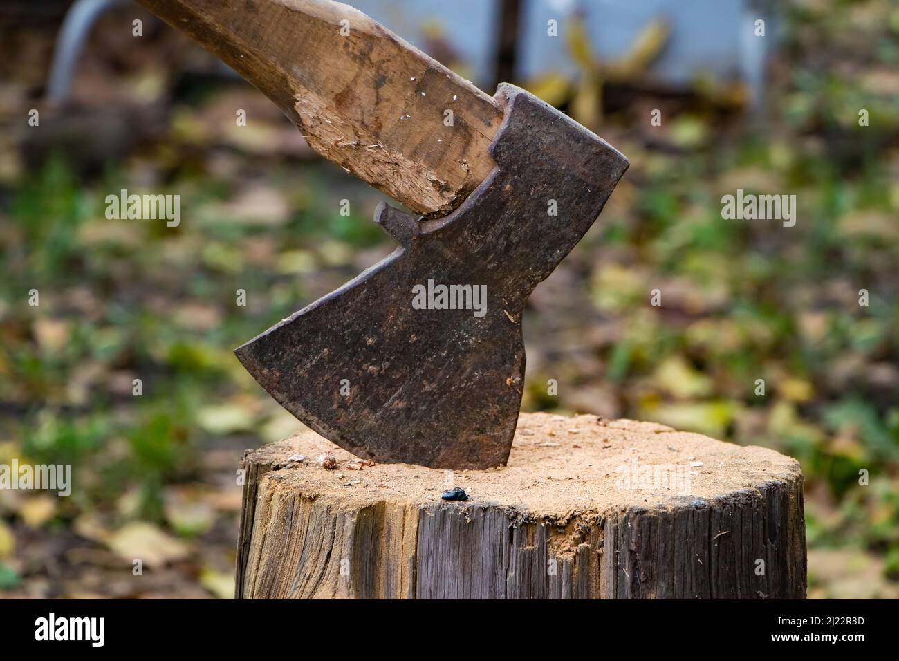 Cutting timber hi-res stock photography and images - Alamy