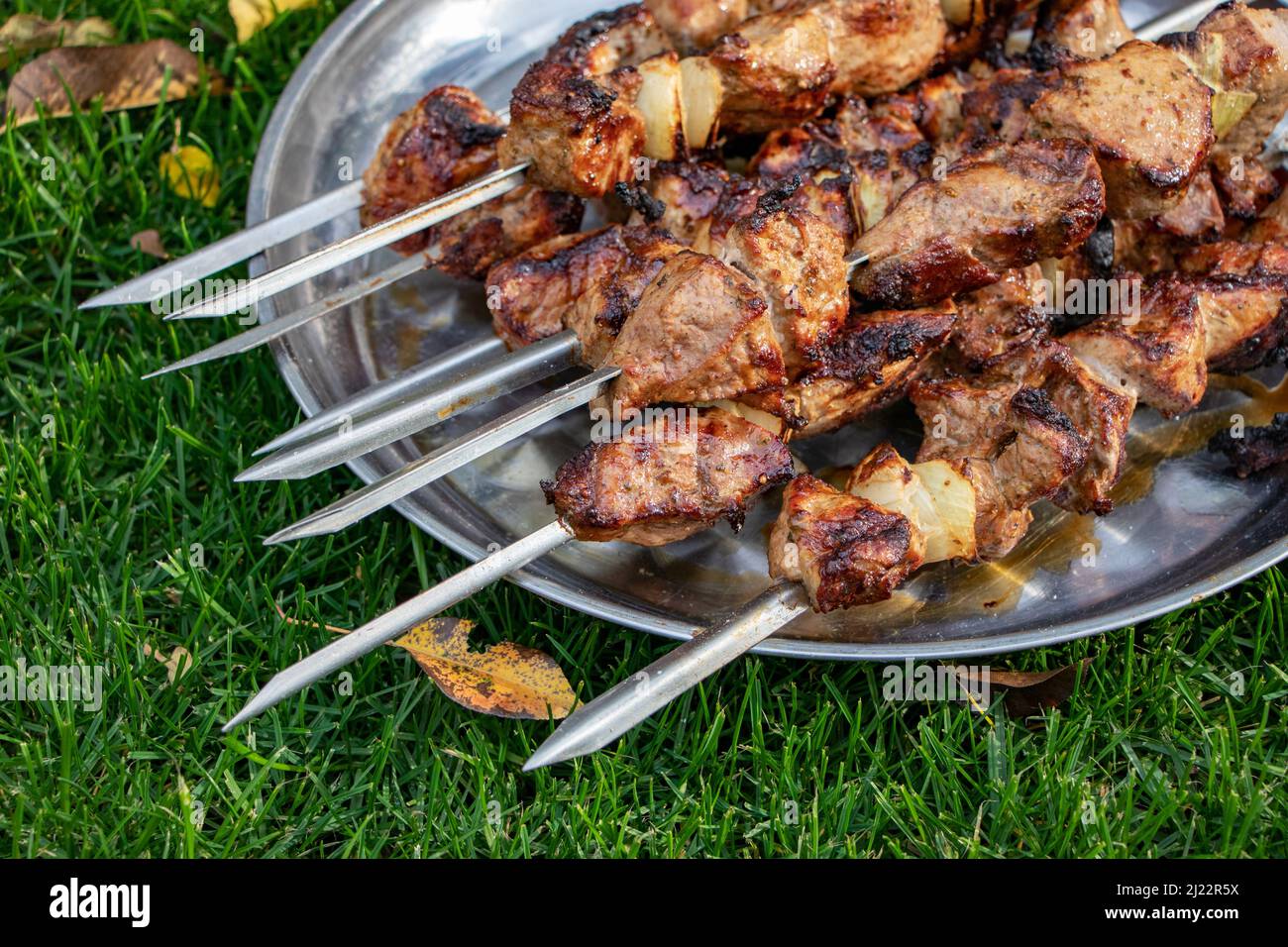 Traditional shashlik on a barbecue skewer on metal plate Stock Photo ...