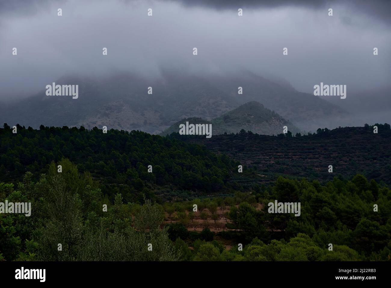 Mountain landscape surrounded by clouds and crop fields. Line ...