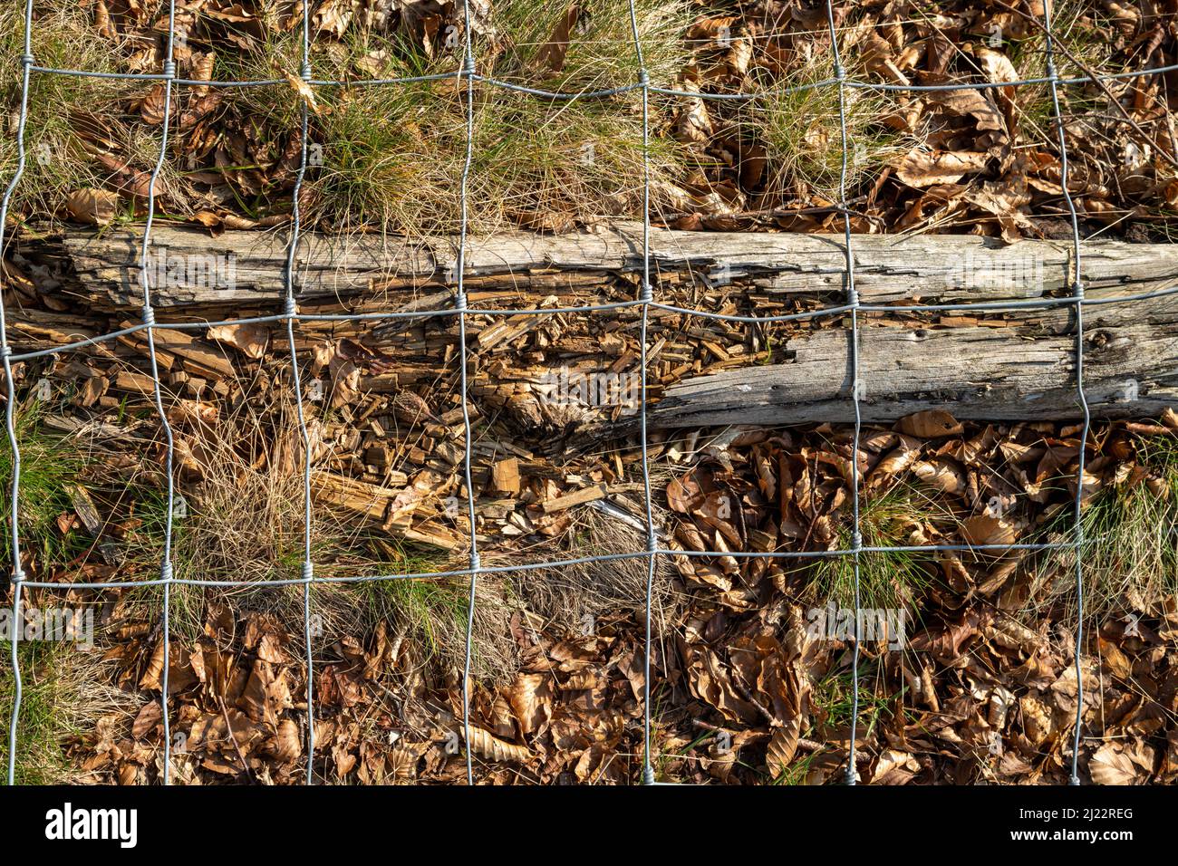 Rotten wooden pole hi-res stock photography and images - Alamy