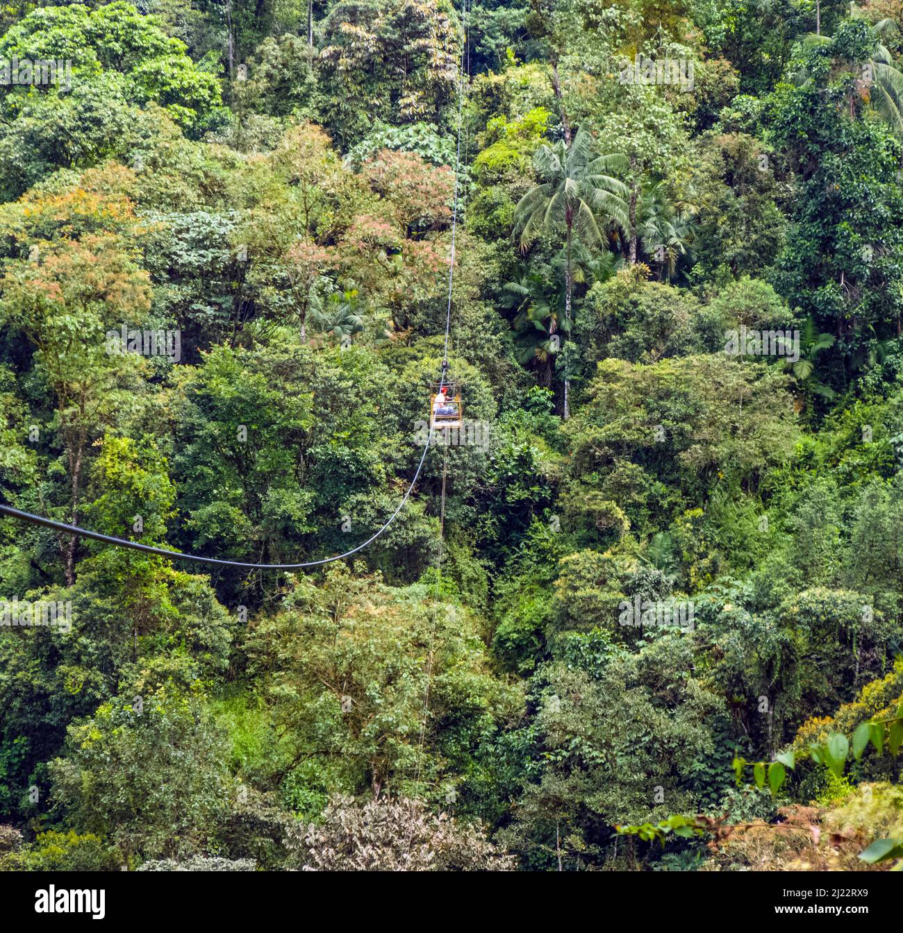 Parque nacional sumaco hi-res stock photography and images - Alamy