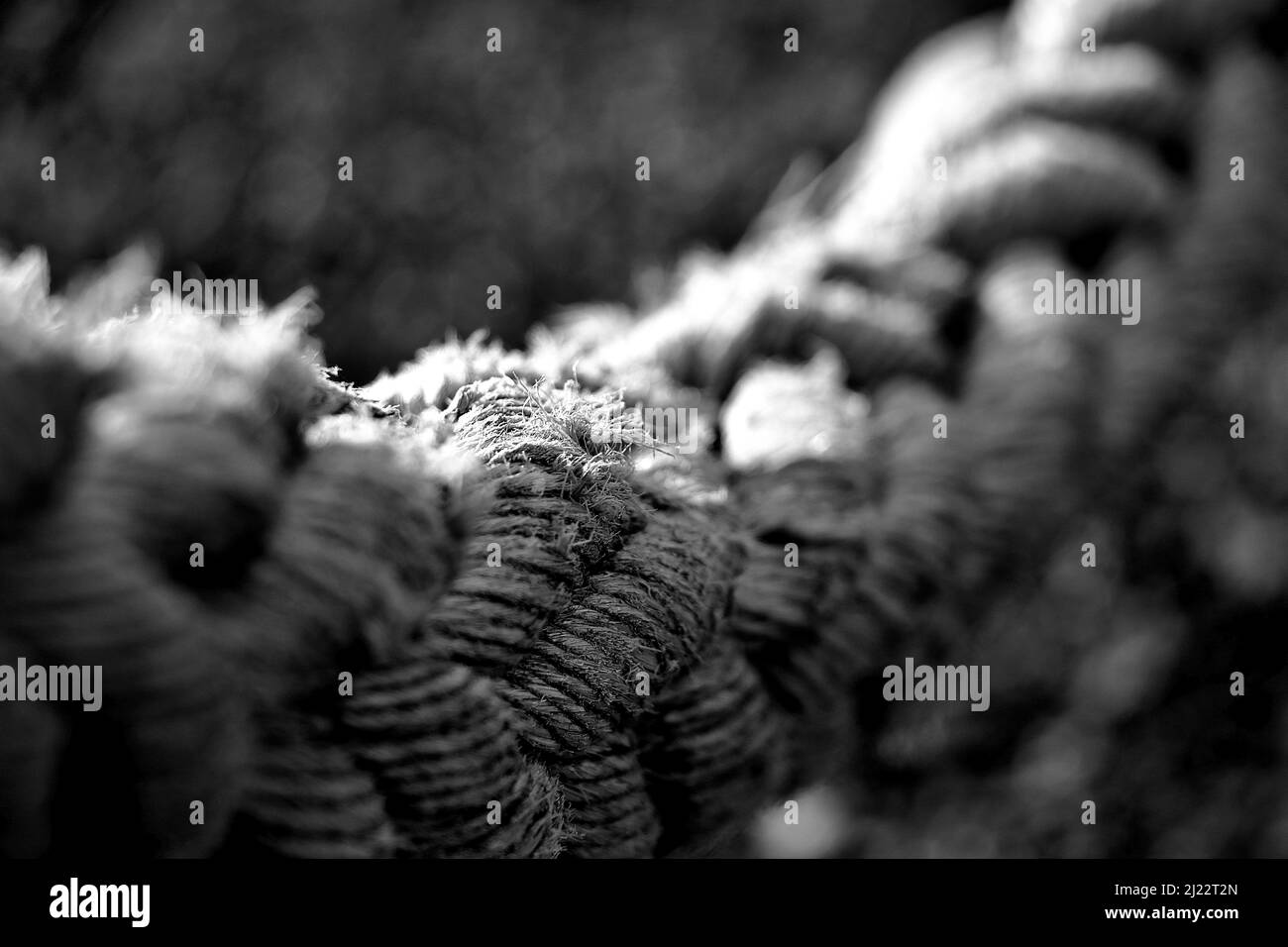 A grayscale of a worn rope with rays of sun and shades on it Stock ...