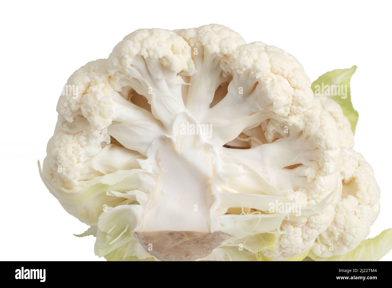 Ripe cauliflower with green leaves isolated on white background Stock Photo - Alamy