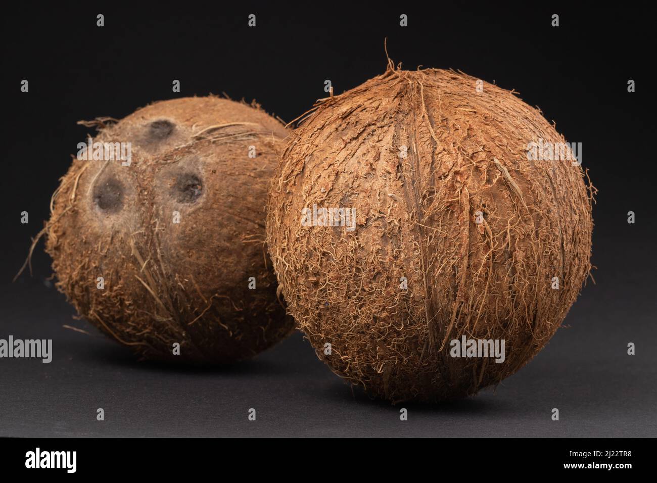 Coconut on dark background. Tropical fruit Stock Photo - Alamy