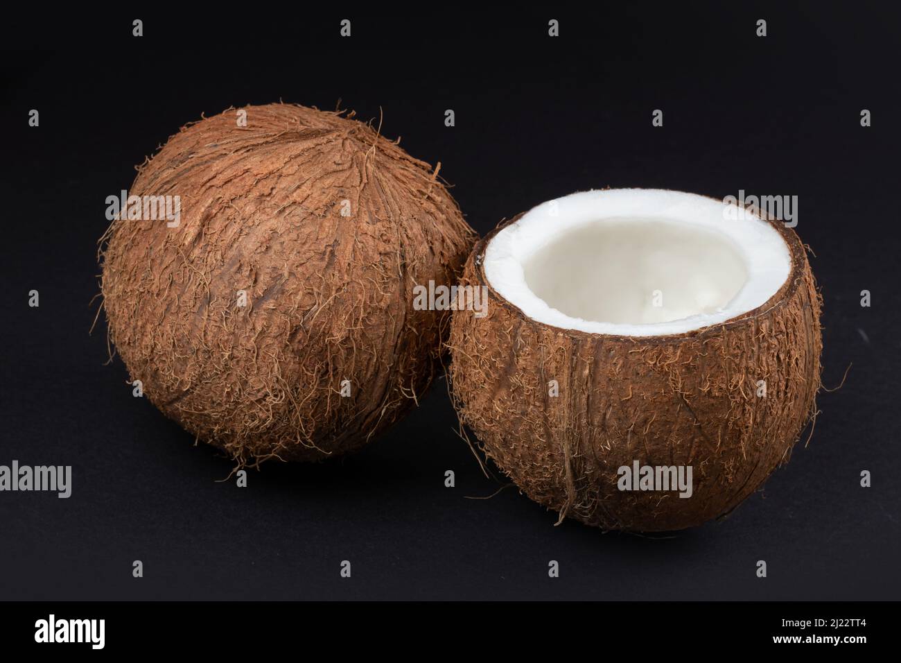 Dark brown coconut tree hi-res stock photography and images - Alamy