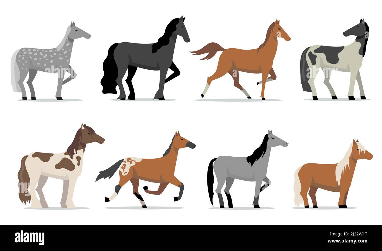Stud horses set. Colorful breed racing stallions standing and running ...