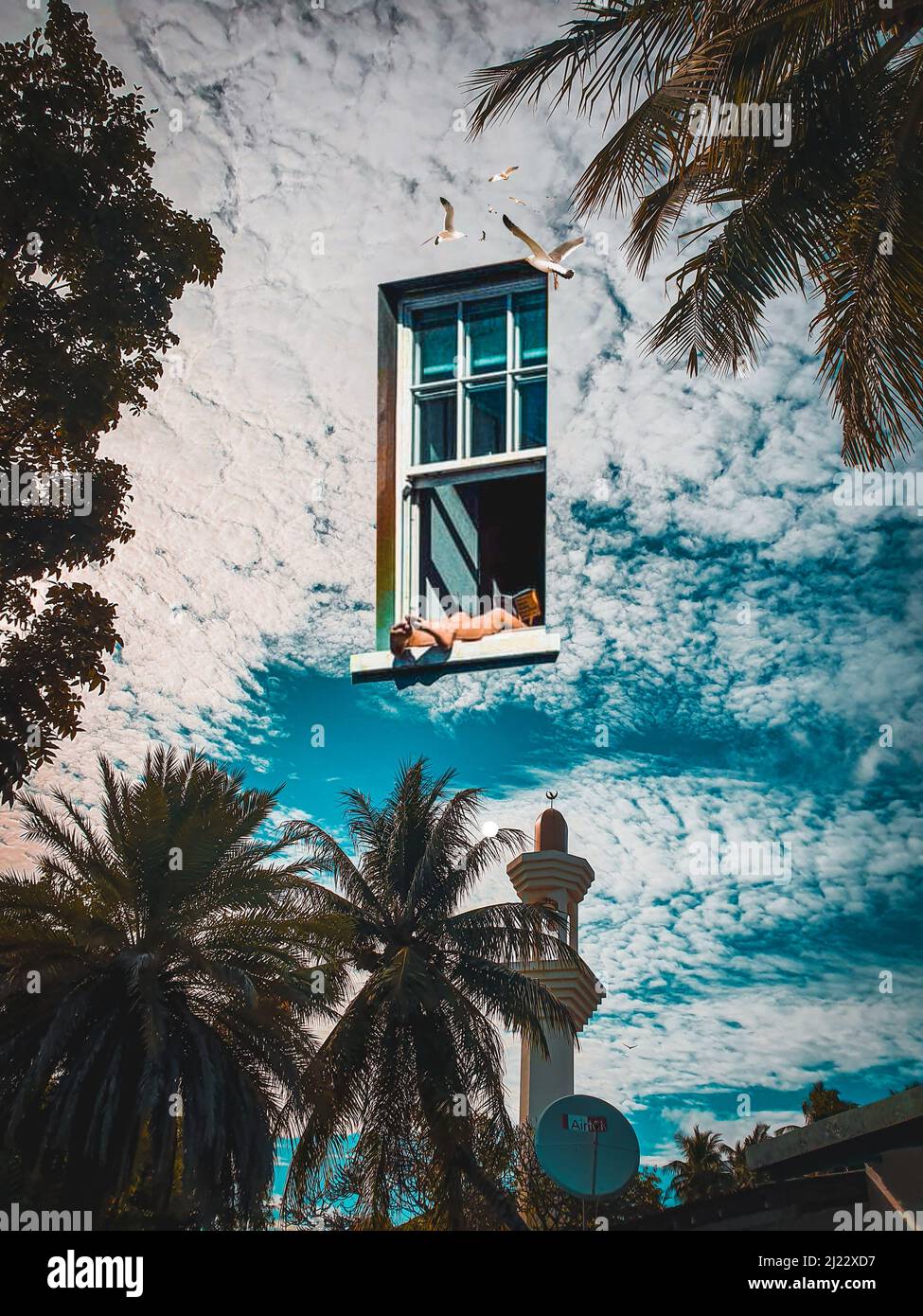 A vertical shot of a person reading a book with legs crossed coming out ...