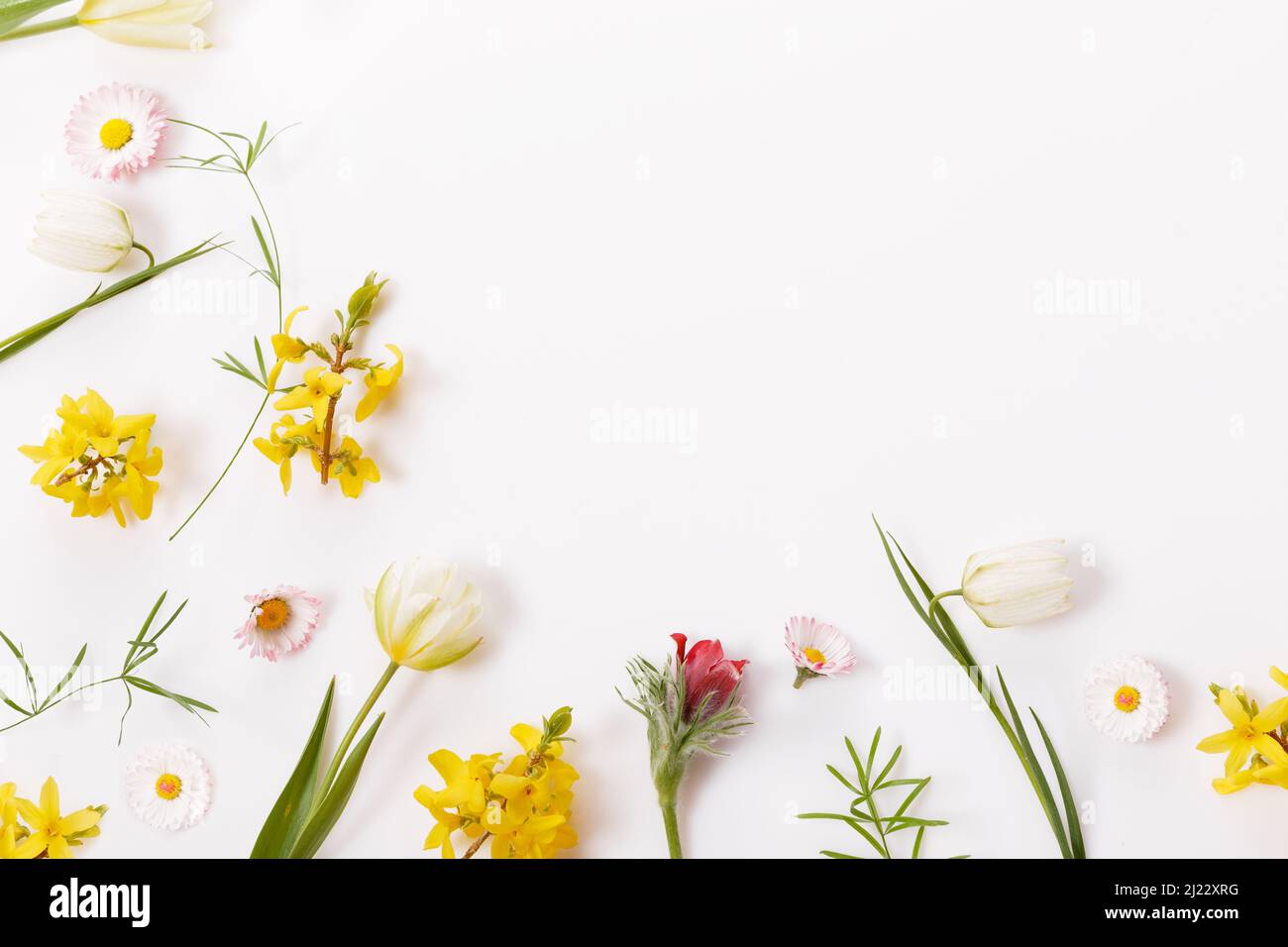 Spring frame of small flowers and daisy, floral arrangement Stock Photo ...
