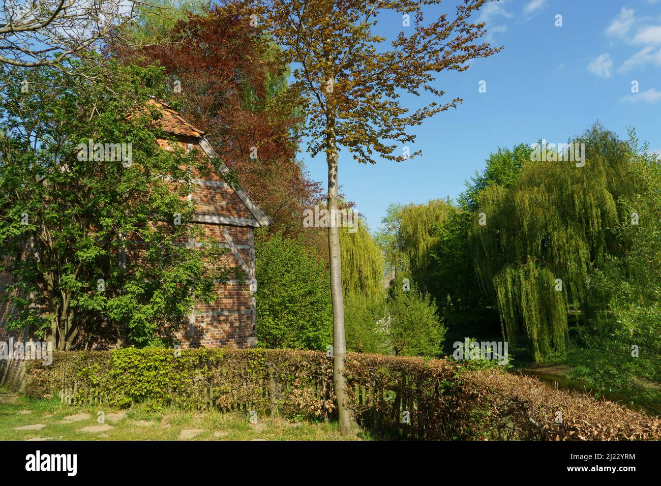 the city of Vreden in ther german muensterland Stock Photo - Alamy