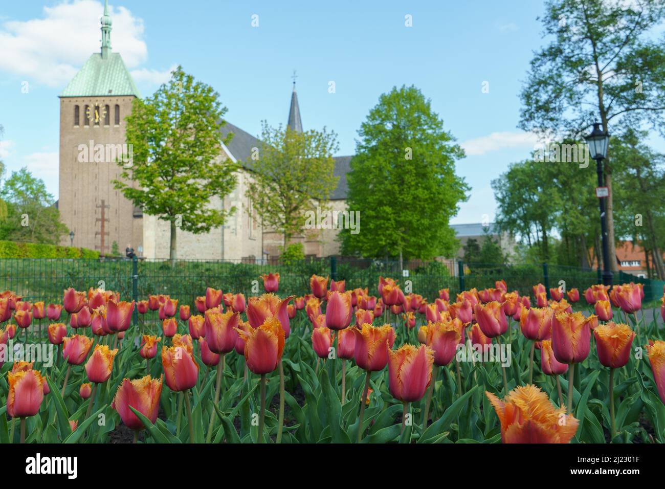 the city of Vreden in ther german muensterland Stock Photo - Alamy