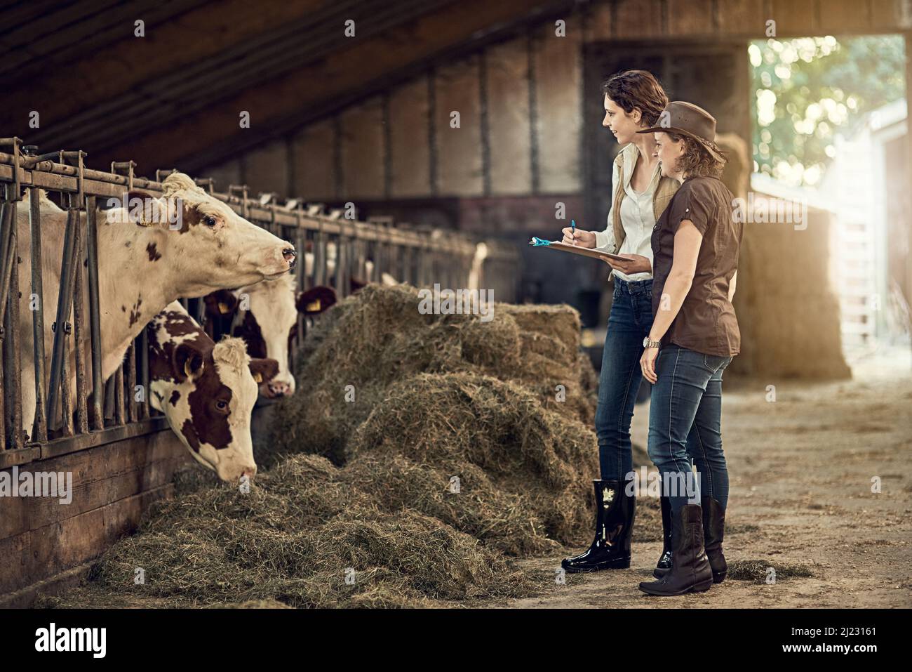 Female farmers taking care hi-res stock photography and images - Alamy