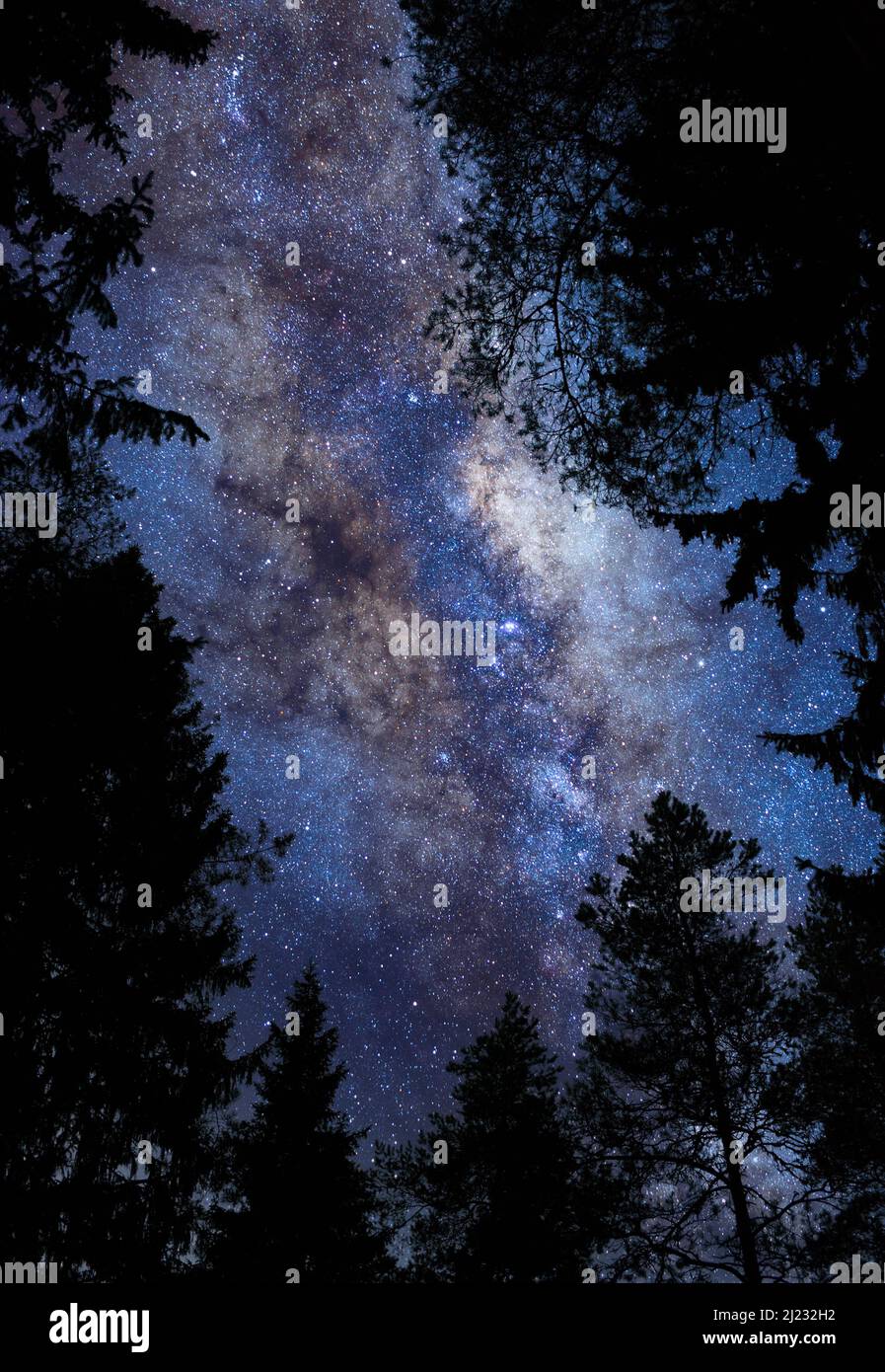 Night sky with a treetop silhouette hi-res stock photography and images ...