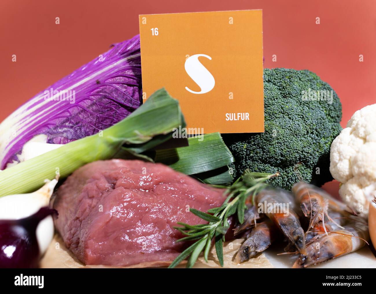 A group of healthy foods rich in sulfur. Healthy diet food. Cardboard ...