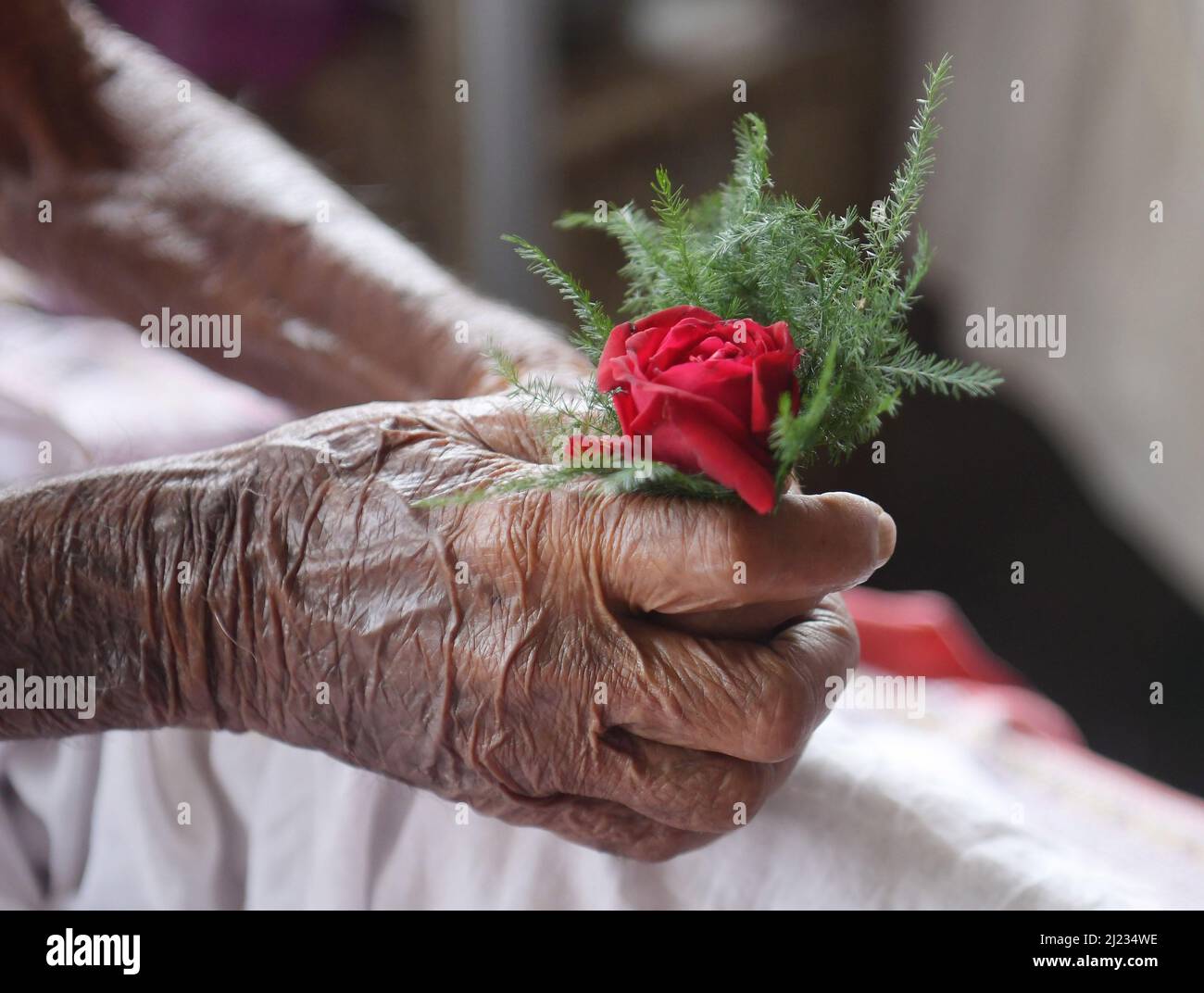 TB (Tuberculosis) patients are seen with roses, which were given by ...
