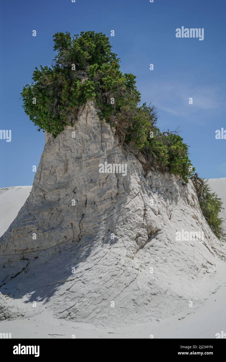 A vertical shot of a chalk cliff rocks mountain with trees on top of it ...