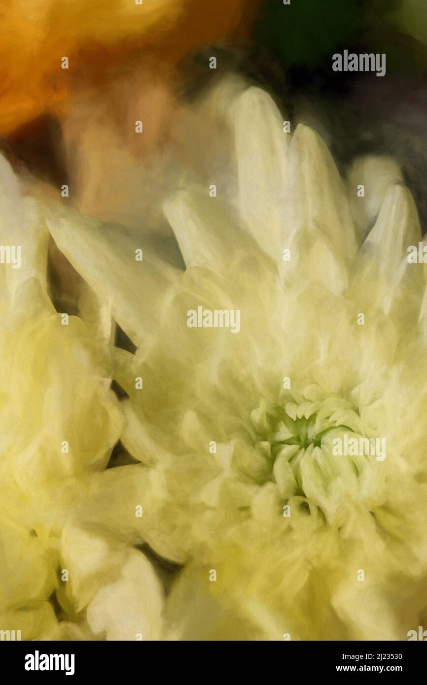 Aster painting hi-res stock photography and images - Alamy