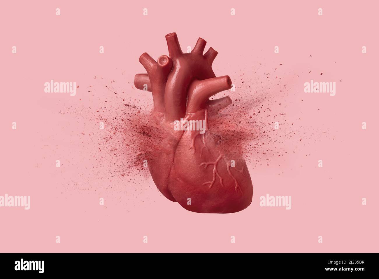 The concept of heart attack, an exploding human heart isolated on pink ...