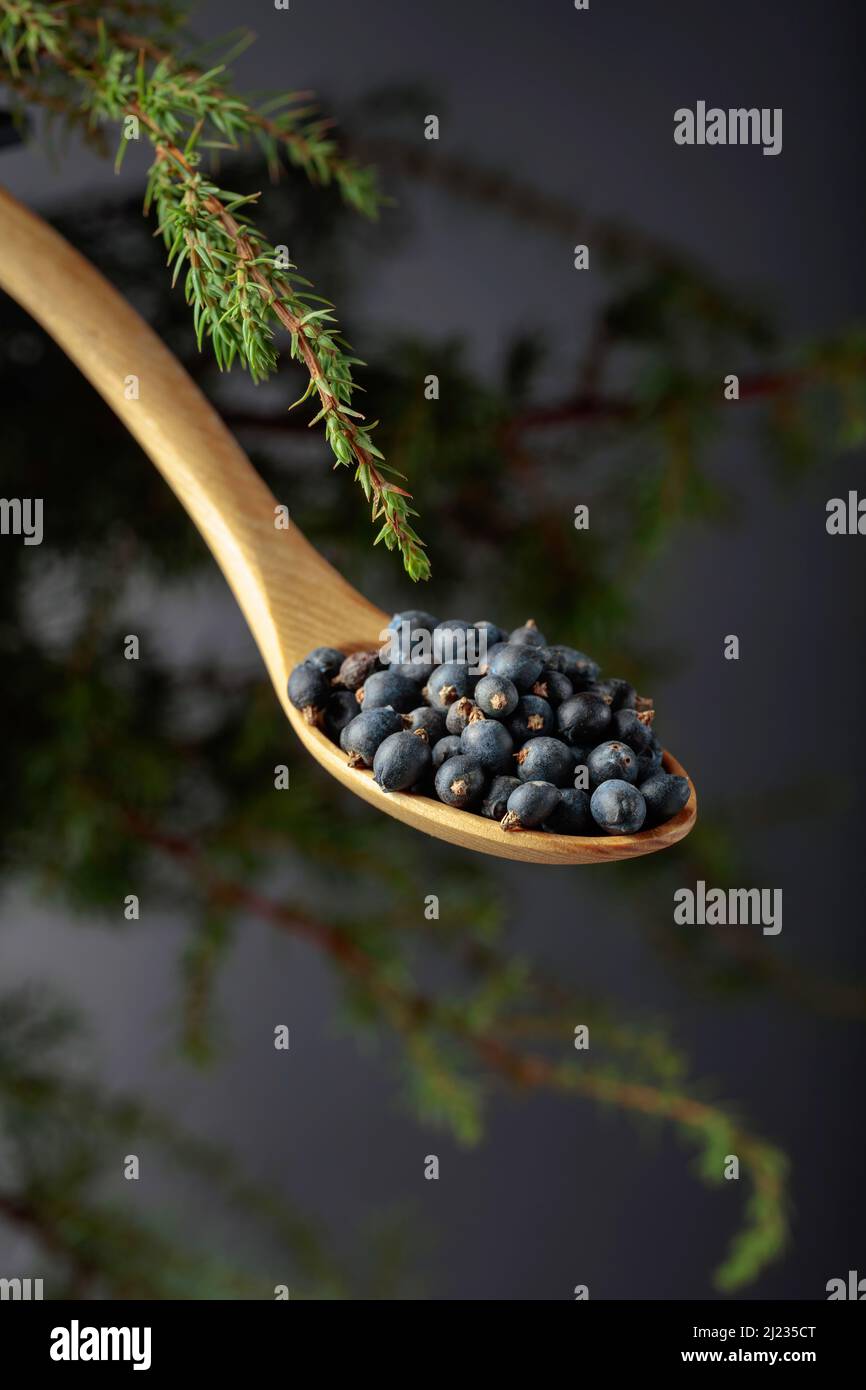 Wooden spoon with seeds of juniper on a dark background. Juniper seeds ...