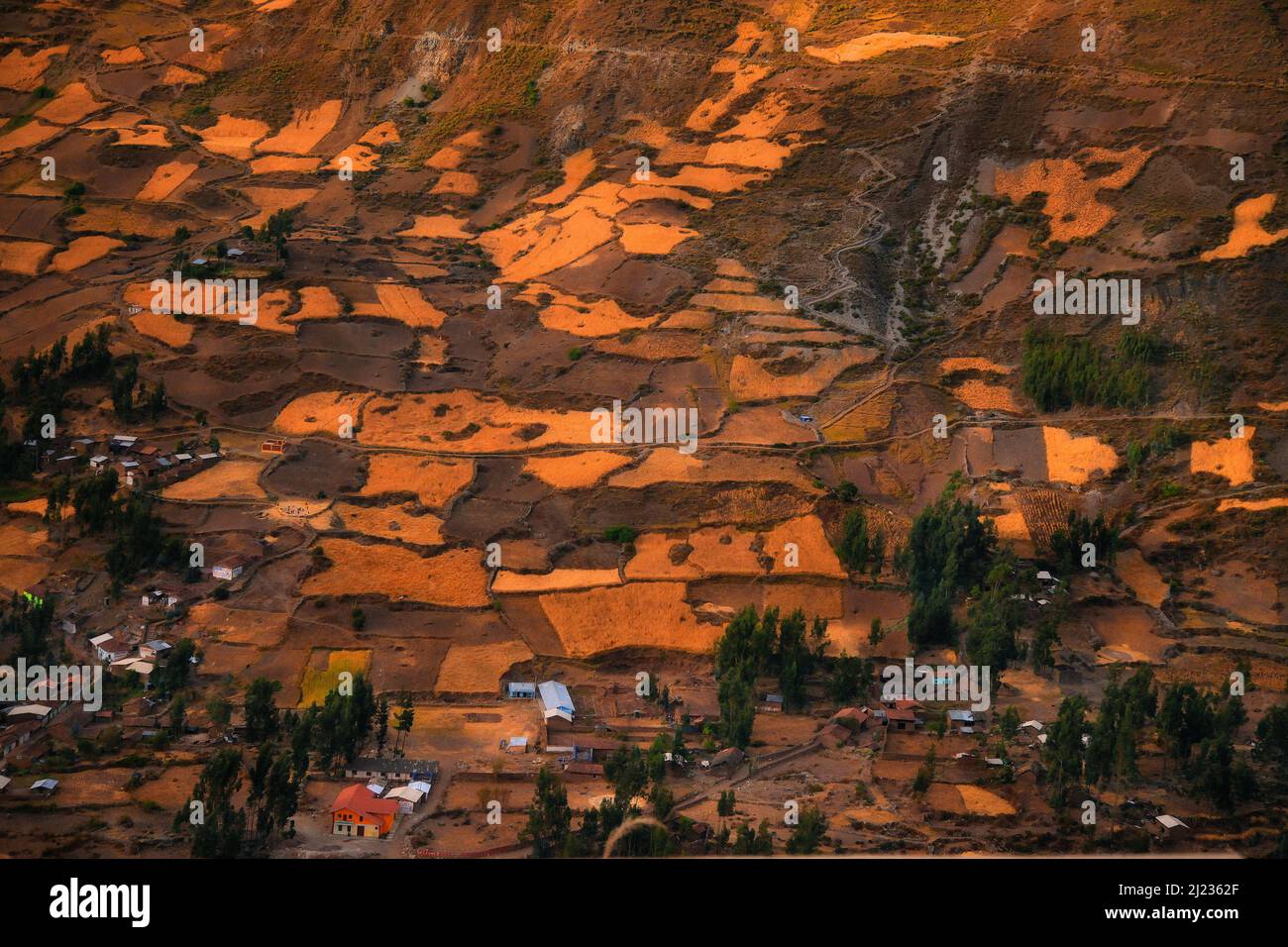 Checkered fields near Chavin, Cordillera Blanca, Peru Stock Photo - Alamy