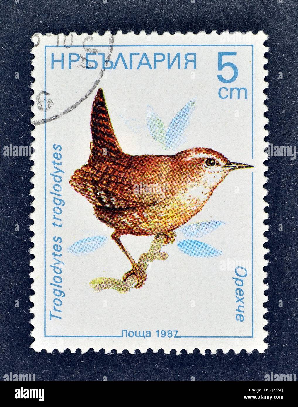 Cancelled postage stamp printed by Bulgaria, that shows Eurasian Wren ...